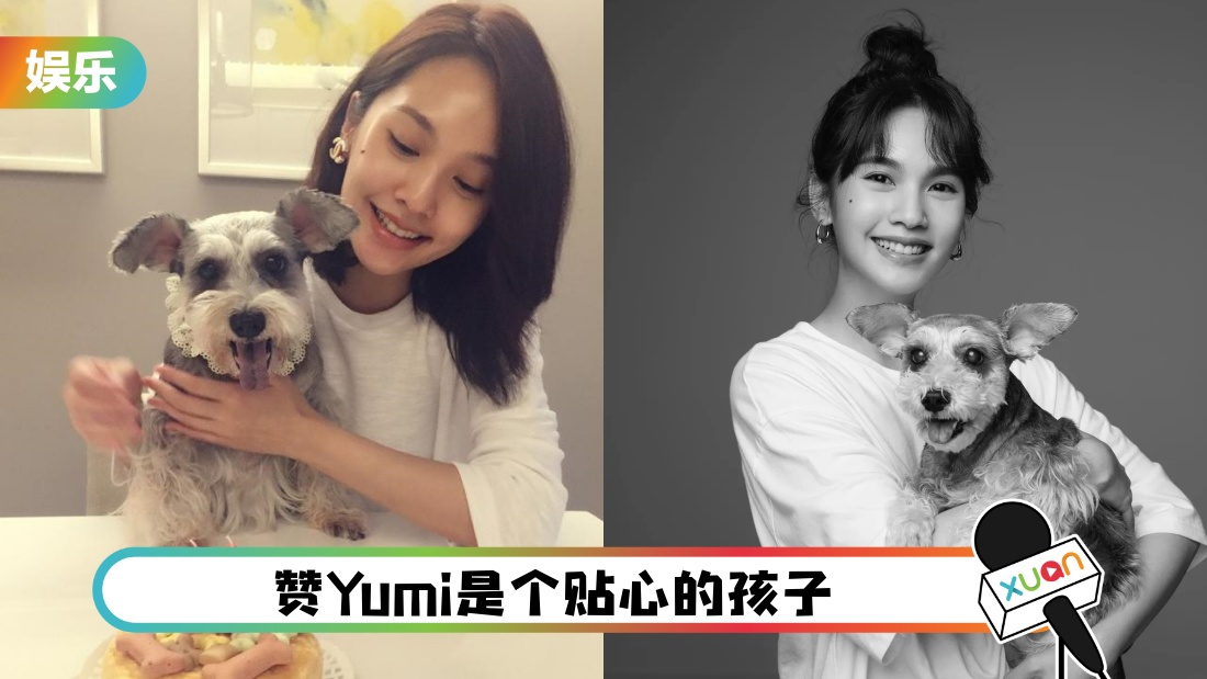 陪伴17年爱犬Yumi离世...杨丞琳自责：我做得不够好！ | XUAN